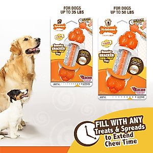 Nylabone Strong Chew Sneaky Snacker Treat Toy for Dogs, Interactive Dog Enrichment Chew Toys, Bacon Flavor, Large/Giant - Up to 50 lbs. (1 Count)