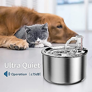 Motion Sensor Cat Water Fountain Samll Stainless Steel, Pet Water Fountain for Cats Inside 2L/67oz, 3 Replacement Filters & Visible Water Level Automatic Cat Water Dispenser Bowl