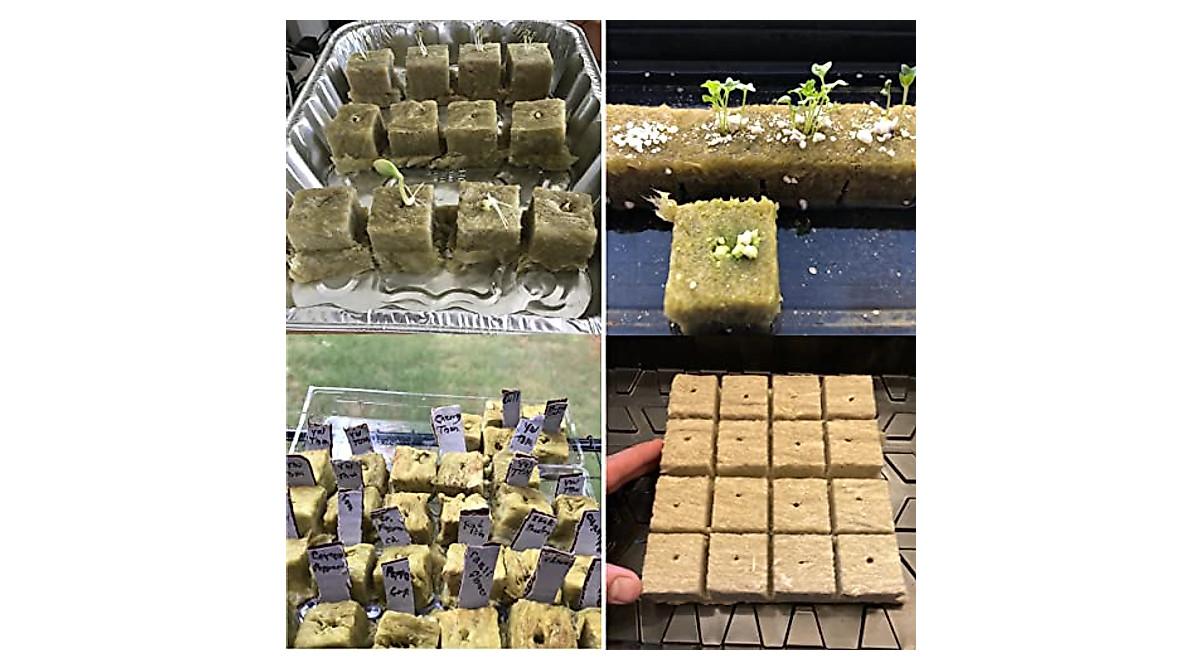 Garden Rockwool Grow Cubes: Hydroponic & Seed Starter Plugs