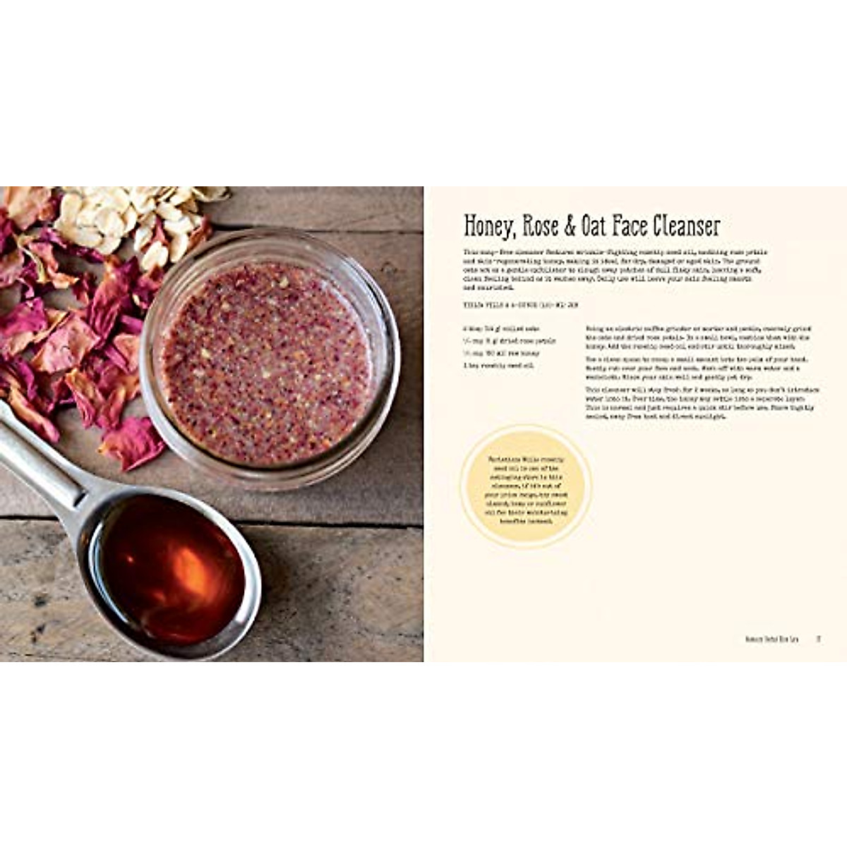 The Big Book of Homemade Products for Your Skin, Health and Home: Easy, All-Natural DIY Projects Using Herbs, Flowers and Other Plants