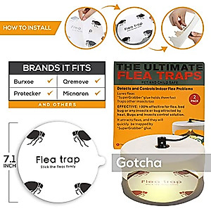Gotcha! 12 Pack Flea Trap Refill Discs | Sticky Traps Glue Board Refills | Non-Toxic | 7.1 Inch | Eco-Friendly | Family and Pet Safe | Fits Ultimate Flea Trap Aspectek Qremove Victor