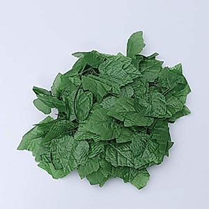 Balacoo Reptile Plastic Plants Terrarium Decor Hanging Silk Leaves,Artificial Lifelike Vines Decorations for Bearded Dragons,Lizards,Geckos,Snake Breeding Box and Fish Tank (2 Strands)