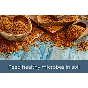 Southside Plants Dry Molasses Plant Fertile Soil - Organic Dried Molasses Powder Boost Health of Your Soil & Pet with Vitamins Carbohydrates - Beneficial Soil for Natural Gardening 5 lb