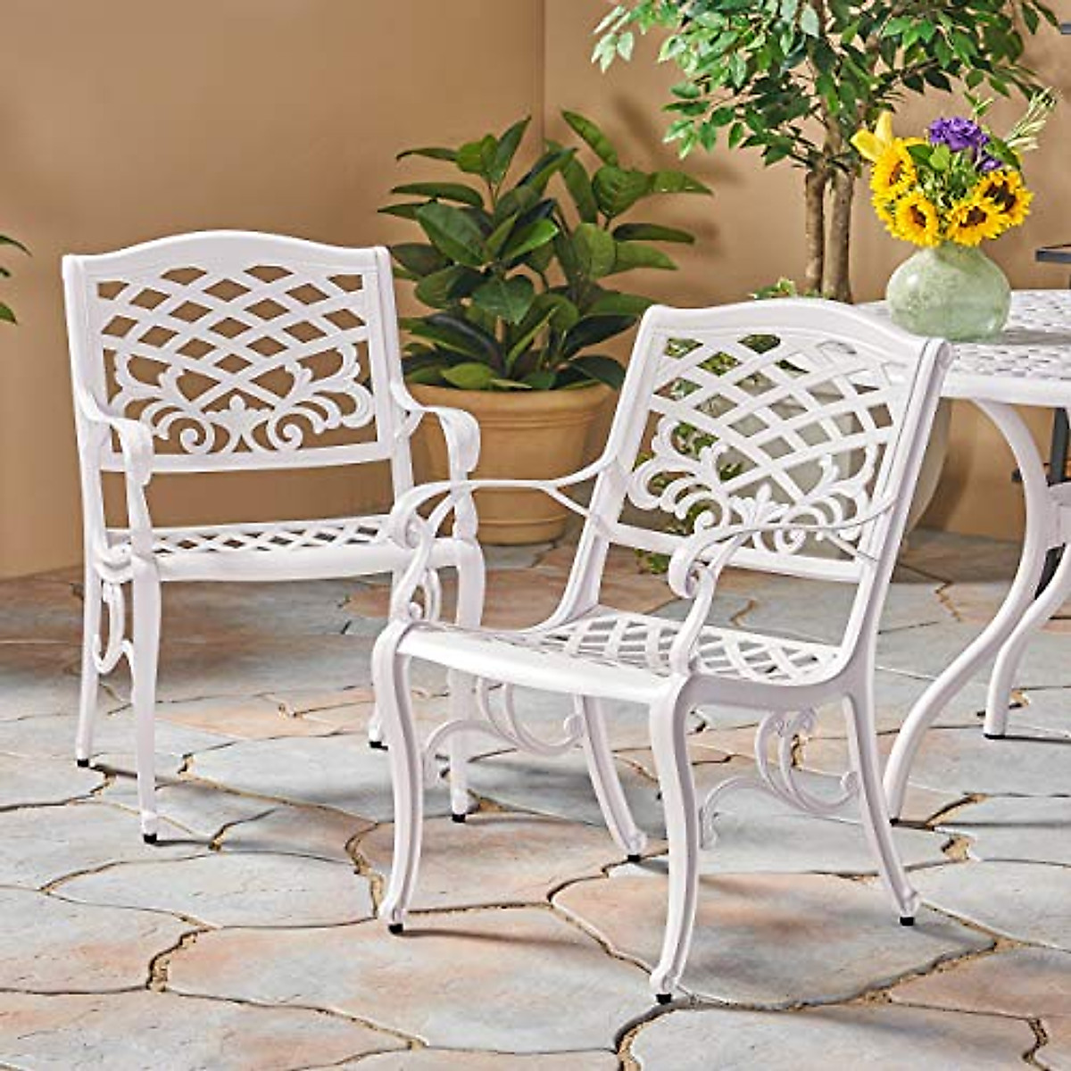 Christopher Knight Home Brody Outdoor White Cast Aluminum Arm Chair (Set of 2)