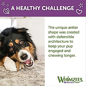 WHIMZEES by Wellness Occupy Antler Natural Dental Chews for Dogs, Long Lasting Treats, Grain-Free, Freshens Breath, Medium Breed, 12 count