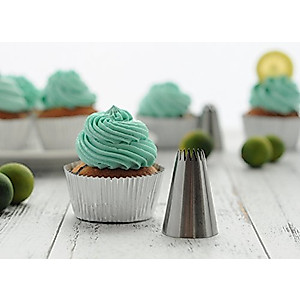 BeBeFun Piping Tips Large Icing Tips Cake Decorating Large Piping Tips Set Cupcake Frosting Piping Kit Extra Large Size In Set.