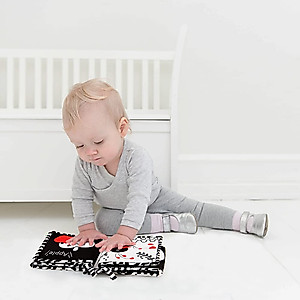 teytoy Black and White High Contrast Baby Book Infant Tummy Time Newborn Toys 0 3 Months Brain Development Stroller Toys Crinkle Folding Baby Soft Books Crib & Carseat Toys for Infants 0-6 Months