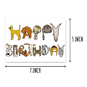 Cats Birthday Card - Happy Birthday Card With Cats - Greeting Card Cat - Have A Purrfect Birthday Cat