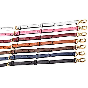 Allzedream Genuine Leather Purse Strap Replacement Crossbody Handbag Long Adjustable (Pink)