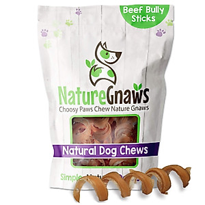 Nature Gnaws Bully Stick Springs for Dogs - Premium Natural Beef Dental Bones - Long Lasting Curly Dog Chew Treats for Aggressive Chewers - Rawhide Free 25 Count (Pack of 1)