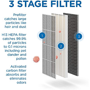MOUNTO Extra large Air Purifier for home large room, covers 3000 sqft, H13 True HEPA Filter, Filters 99.97% dust, pet hair, smoke, pollen, VOCs, Commercial Air Cleaner for office, classroom