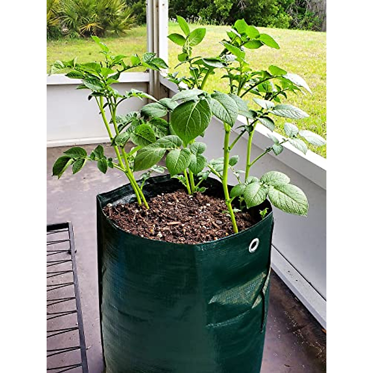 4 Pack 10 Gallon Garden Potato Grow Bags with Flap and Handles Aeration Fabric Pots Heavy Duty Vegetable Planter Bag for Tomato, Fruits