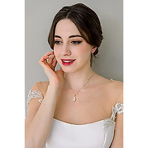 SWEETV Teardrop Wedding Bridal Backdrop Necklace, Rose Gold Cubic Zirconia Back Pendant Necklace for Bride Bridesmaids Women, Body Chain Jewelry for Prom Wedding