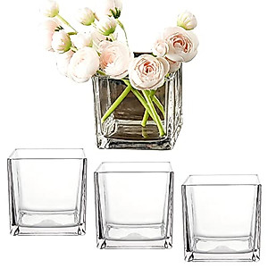 4PCS Square Glass Vase 4"x4" Clear Cube Flower Vase for Wedding Centerpiece Candle Holder Home
