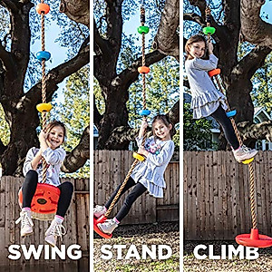 LAEGENDARY Tree Swing for Kids - Single Disk Outdoor Climbing Rope w/Platforms, Carabiner & 4 Ft Tree Strap - Playground Accessories - Multicolored
