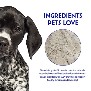 Wonder Paws Premium Goat Milk Powder for Dogs –- Goat Milk for Dogs to Support Digestion, Immune Health & Allergies – Goat’s Milk with Probiotics for Dogs of All Ages, Sizes & Breeds – 8.25 oz