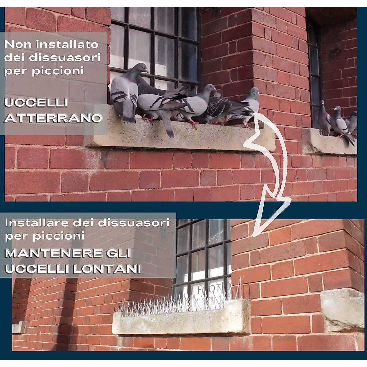 AOKKR Bird Spikes for Pigeon and Small Birds Squirrel Raccoon Cats Crow Bird Defender Spikes for Outside to Keep Birds Away, Anti Bird Stainless Steel Spikes for Railing (21.7ft)