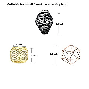 Newwe Pack of 3 Air Plant Holder Metal Airplant Pot Geometric Tabletop Decor Air Plants Planter Tillandsia Display for Home Office