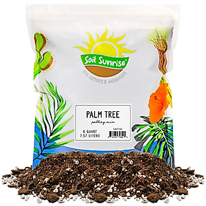 Palm Tree Potting Soil (8 Quarts), All Purpose Mix for Growing Indoor Palm Plants