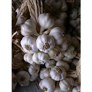 RICOH Digital Camera GR DIGITALII 1000 Million Pixels GRDIGITALII