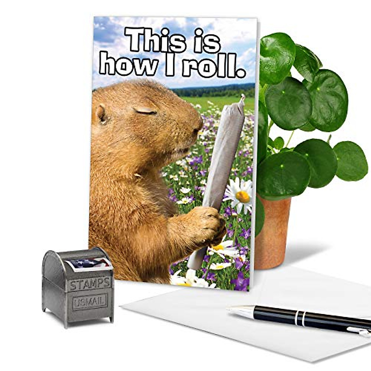 NobleWorks - 1 Happy Birthday Card with Funny Animals - Wildlife and Pet Humor, Fun Birthday Celebration Notecard - How I Roll C3956BDG