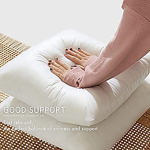 MIULEE 18x18 Pillow Inserts Set of 2, Square Decorative Throw Pillows Premium Fluffy Pillow Forms Sham Stuffer for Living Room Sofa Couch Bed