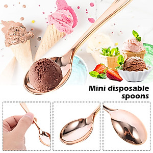 Plastic Spoons Mini Disposable Spoon: Cabilock 24 Pcs Rose Gold Serving Spoon 3.8 inch Dessert Spoon Small Spoons for Dessert, Sampling Appetizers, Honey, Parties, Picnics