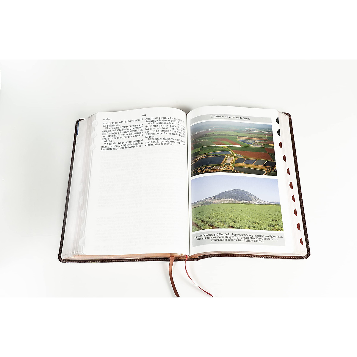 Santa Biblia Reina Valera 1960 Letra Gigante con Indice Foro de Semil Piel en color caoba con cafe claro Incluye fotos y ilustraciones