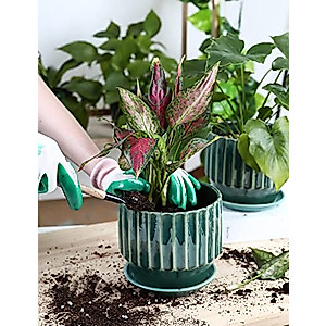 AISBUGUR Plant Pots 6 inch Ceramic Pots for Indoor Plants Set of 2 Flower Pots Unique Crackle Glaze Design Plant Pots with Drainage Hole and Saucer Come with Drainage Nets (Aqua Green)