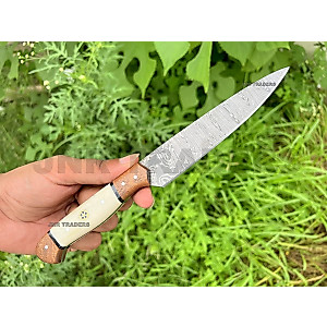 JNR Traders Damascus Paring Knife, Steak Knife, 6 in Chef Knife with Leather Sheath, Full Tang Thin Ultra-Sharp Bbq Knife 3702