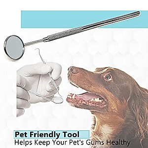 Stainless Steel Dental Mirror #5 with Handle 6.5", Dentist Tool for Teeth Cleaning Inspection