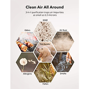 Air Purifier for Home Bedroom, True HEPA Air Purifiers for Small Room, Air Cleaners for Smoke Pollen Pet Hair Dander Dust Odor with 4 Fan Speeds, Sleep Mode, Night Light, Black