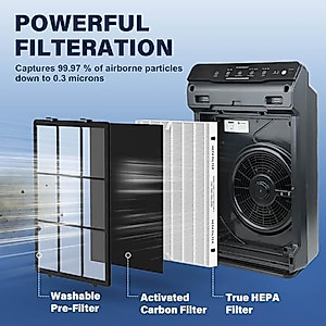 SAKEGDY 115115 HEPA Replacement Filter A Compatible with Winix PlasmaWave C535 5300 5300-2 6300 6300-2 P300 AM90 9000 5000 5000B C909 9800 A-Purifier, 2 Washable PreFilter+4 HEPA+8 Carbon Filter