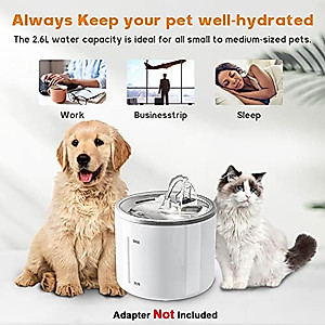 Cat Water Fountain Stainless Steel - SINDOX Dog Water Bowl Fountain, 2.6L/88oz Automatic Cat Fountains Super Quiet Pet Drinking Water Dispenser for Cats, Dogs, Multiple Pets with 3 Filters - White