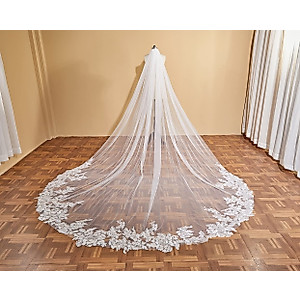 EllieWely 1 T Cathedral Length Sequin Lace Wedding Bridal Veil F22 Ivory