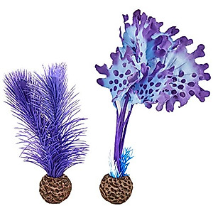 biOrb 46079.0 Kelp Set Small Purple Aquariums, 2 Piece Set