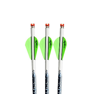 Excalibur ProFlight Illuminated Archery Hunting Durable Accurate Versatile 2" Blazer Vane Crossbow Carbon Arrows with Beacon Nocks - 3 Pack, 16.5"