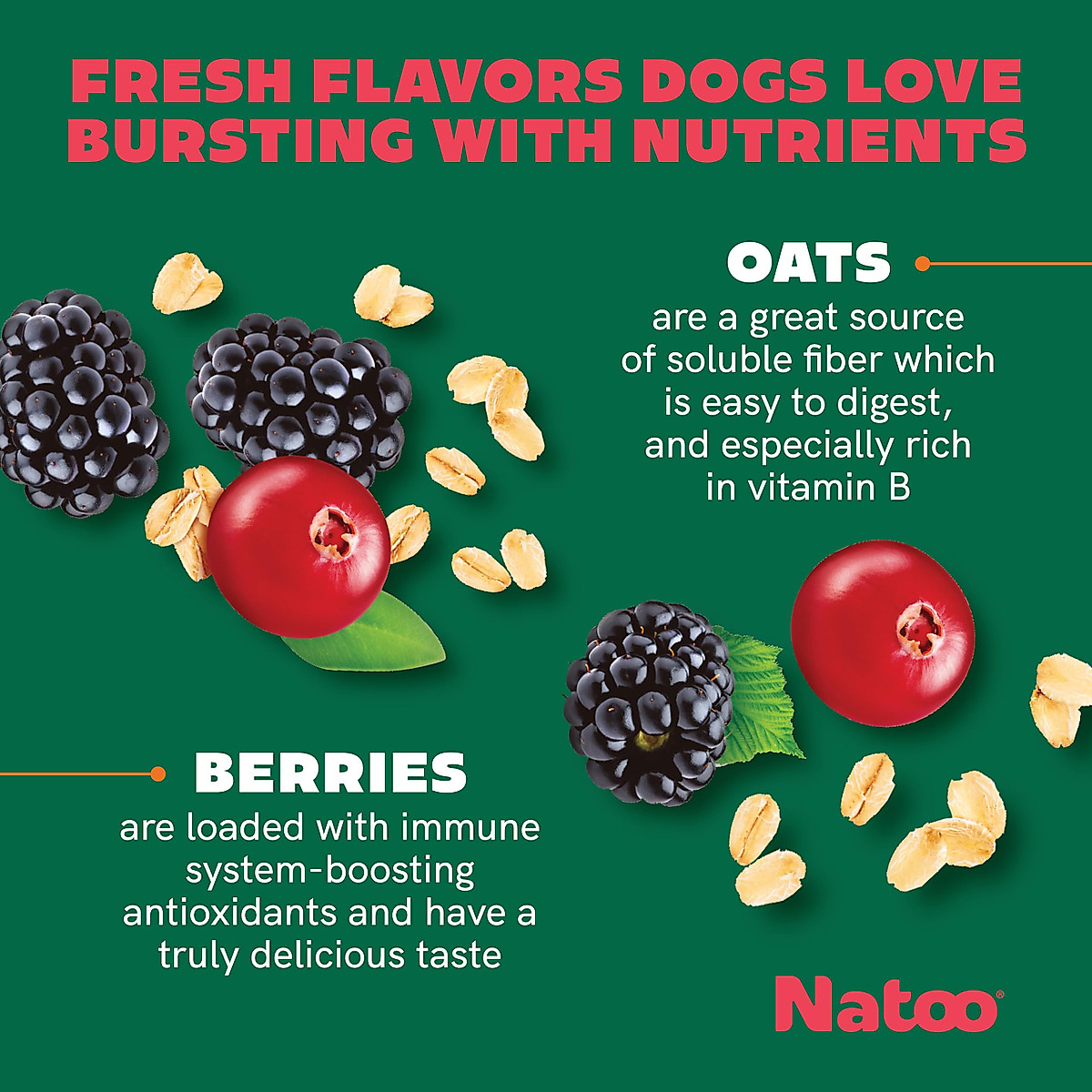 NATOO Dog Biscuits for Small Dogs & Puppies Crunchy Dog Treats, Oats & Berry Healthy Natural Dog Biscuits, Rich in Omega 6, Prebiotics & Fibers, Antioxidants for Immunity (8 oz)