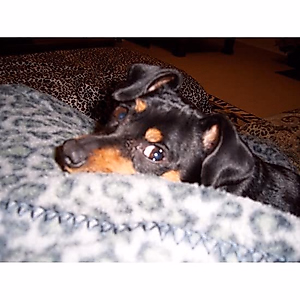 CafePress Min Pin Mug Ceramic Coffee Mug, Tea Cup 11 oz