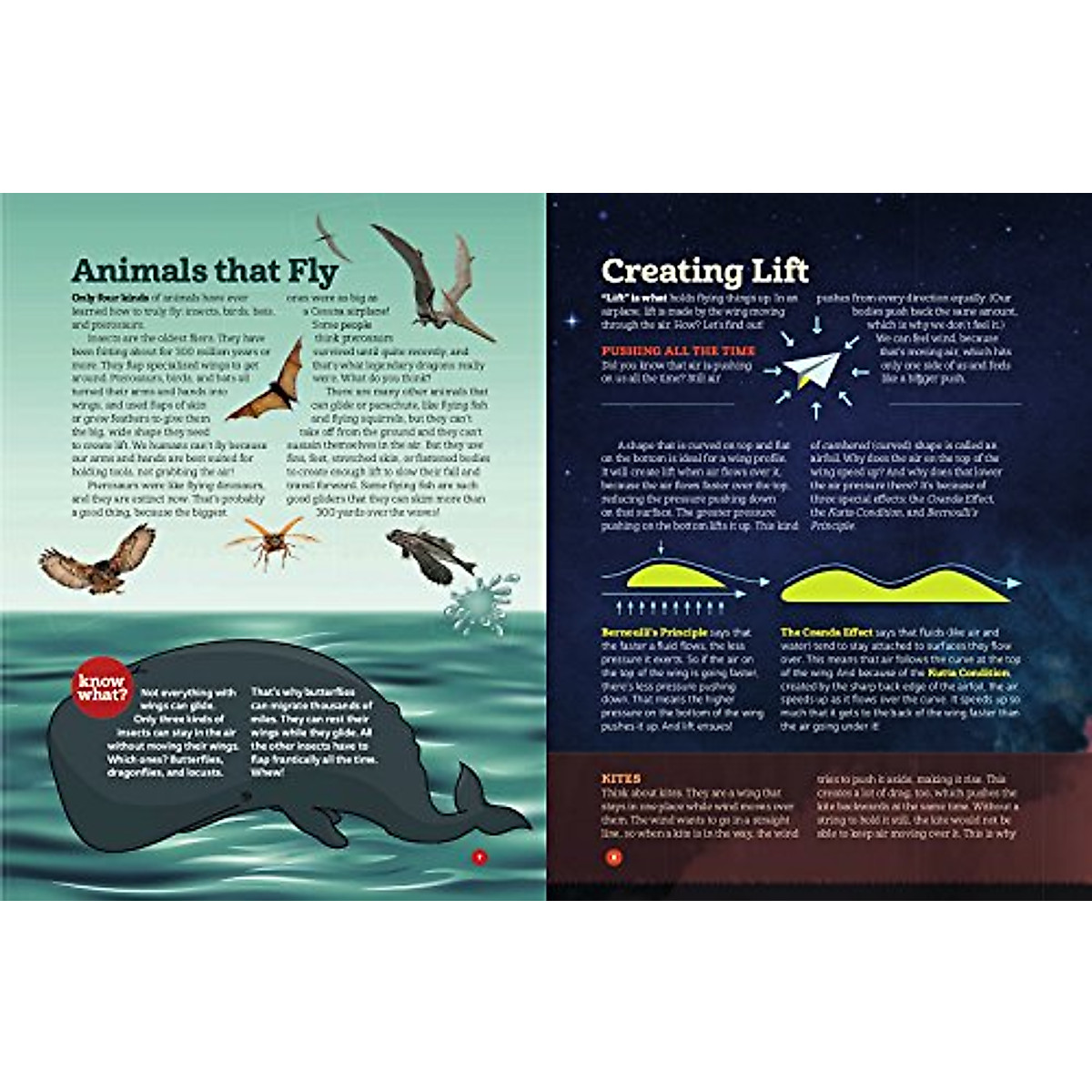 Ultimate Paper Airplanes for Kids: The Best Guide to Paper Airplanes!: Includes Instruction Book with 12 Innovative Designs & 48 Tear-Out Paper Planes