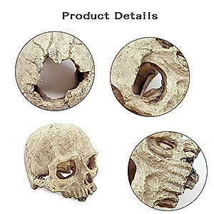 Tfwadmx Bearded Dragon Tank Accessories Reptiles Crocodile Skull Decorations Resin Human Skulls Hideouts Cave Habitat Decor for Chameleon,Snake,Spider,Gecko and Fish