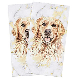Big buy store Golden Retriever Kitchen Dish Towels Set of 2, Soft Lightweight Microfiber Absorbent Hand Towel Marble Pattern Tea Towel for Kitchen Bathroom 18x28in