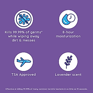 Wet Ones Antibacterial Hand Wipes, Lavender Wipes | Antibacterial Wipes, Moisturizing Wipes | 40 ct. Canister