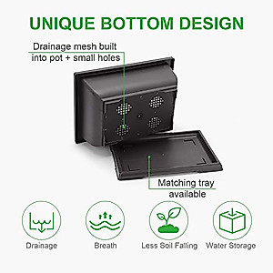 GROWNEER 3 Packs 11 Inches Bonsai Training Pots with 15 Pcs Plant Labels, Plastic Bonsai Plants Growing Pot for Garden, Yard, Office, Living Room, Balcony and More