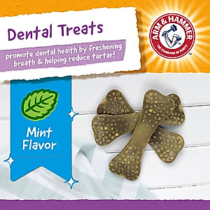 Arm & Hammer for Pets Nubbies Dental Treats for Dogs | Dental Chews Fight Bad Breath, Plaque & Tartar Without Brushing | Mint Flavor Value Bucket,Large (Pack of 6,318 Count Total)
