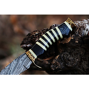12.5 Inch long Hunting knife, Collectible knife, Scale is made of Camel bone and dollar wood, embellished with Engraved brass finger guard and pommel, Hand forged Twist pattern Damascus steel blade, Comes with Leather sheath