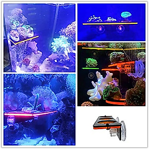 Coral Frag Holder Acrylic Coral Rack with Powerful Double Suction Cup and Placstic Screws Suitable for Household Fish Tanks (2pcs 3 Plug Hole,Fluorescent Green and Orange)