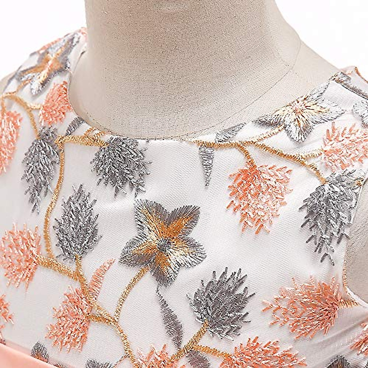 12 18 24 Months Formal Pageant Princess Easter Dresses for Girls Embroidery Sleeveless 2T Little Girl Elegant Spring Prom Lace Dresses 24M Orange