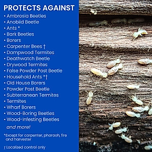 BioAdvanced Termite and Carpenter Bee Killer Plus, Foam, 18 oz