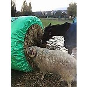 Big Bale Buddy Large